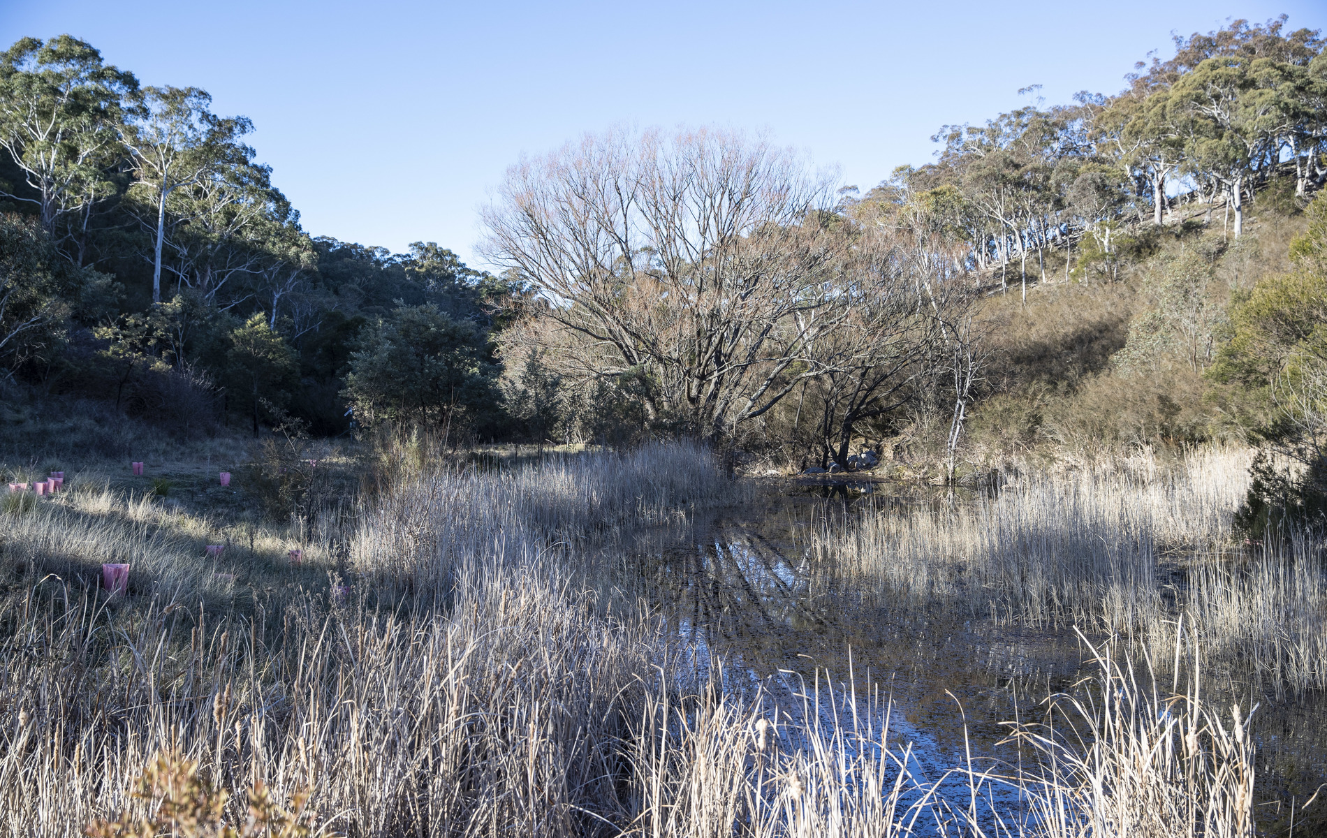 SAI Platform Australia | Sustainable Agriculture